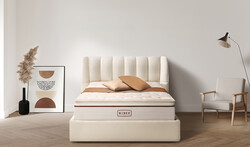 코웨이·bhc치킨·다이소·잡코리아·스타벅스·오뚜기 [Daily Pick 유통]